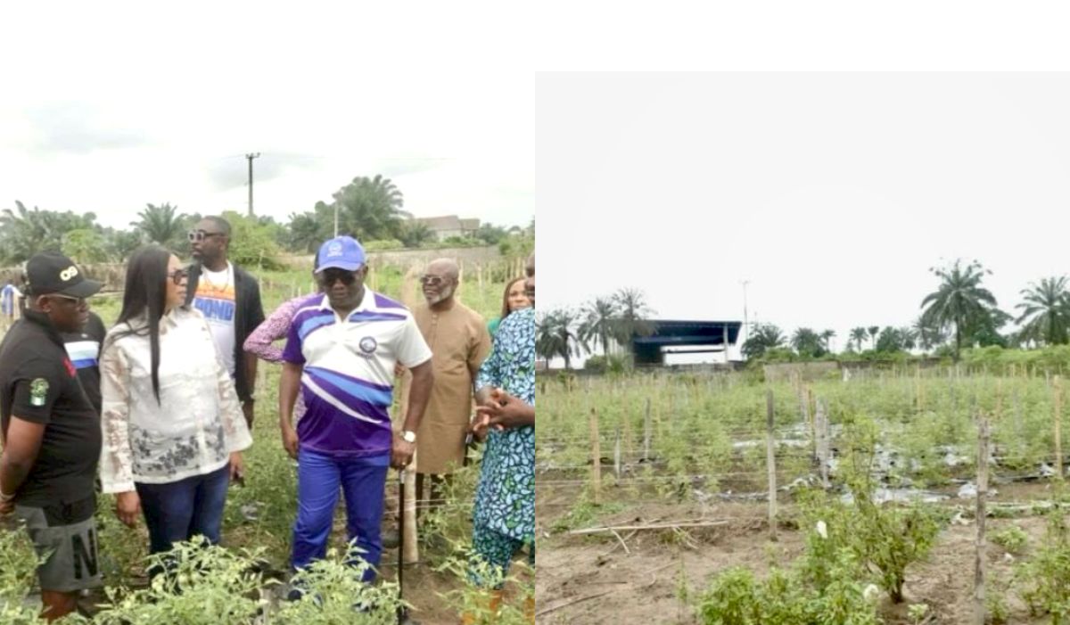 NDDC Pledges Support To Small-holder Farmers For Enhanced Food Security ...
