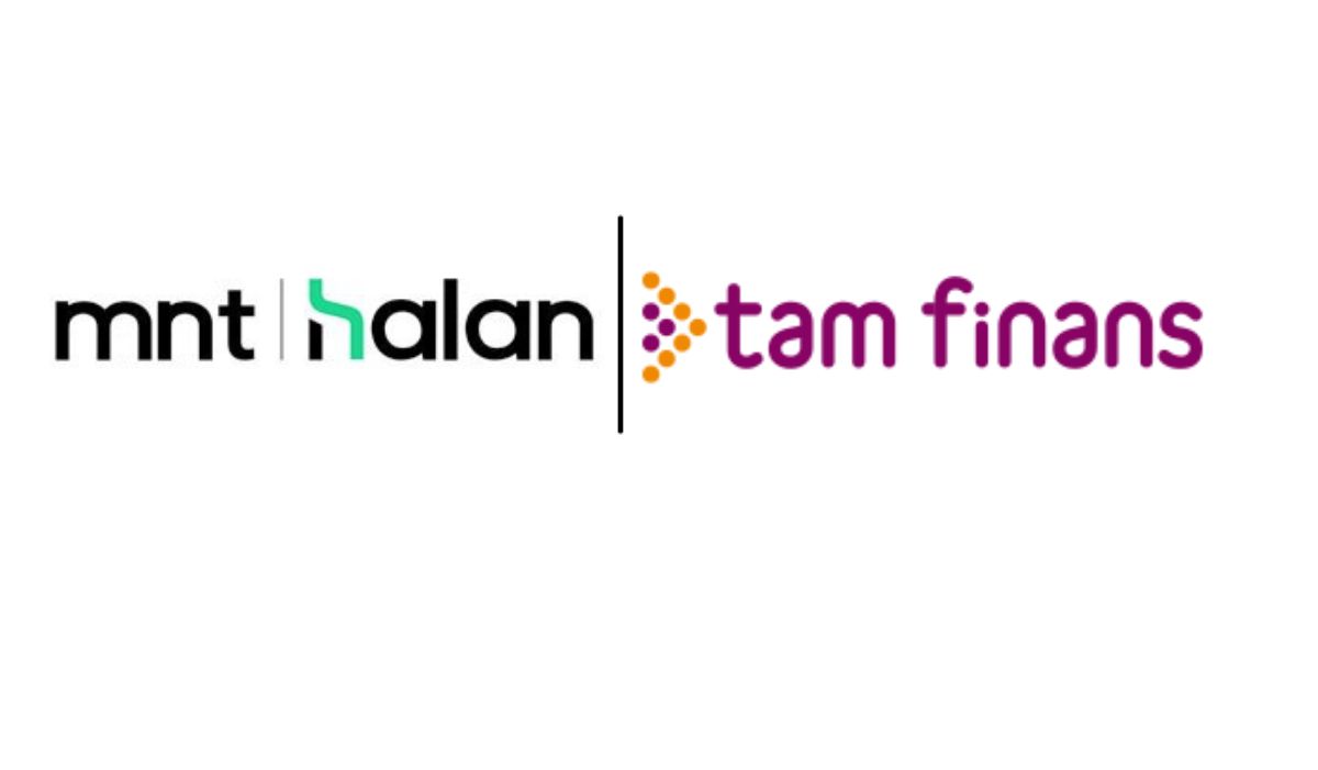 Egyptian Fintech MNT-Halan Acquires Tam Finans To Expand Market ...